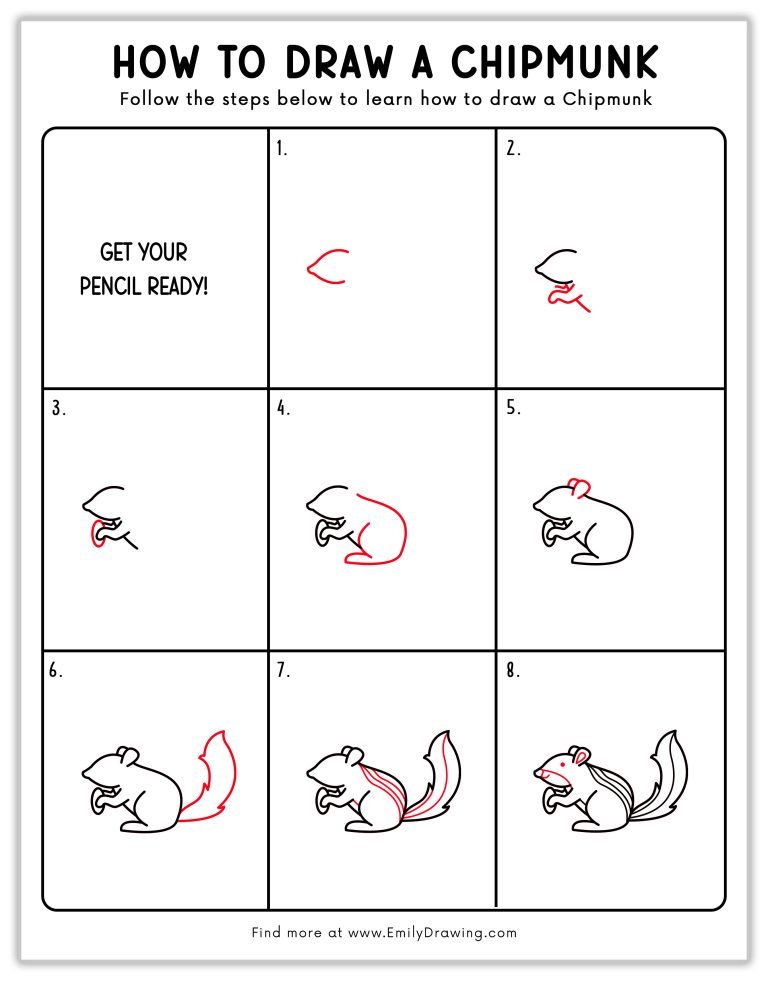 How to Draw a Chipmunk - Emily Drawing