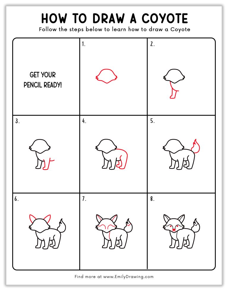 How to Draw a Coyote - Emily Drawing