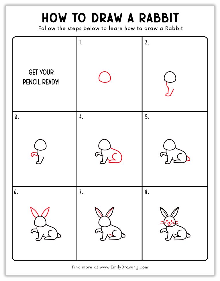 How to Draw a Rabbit - Emily Drawing