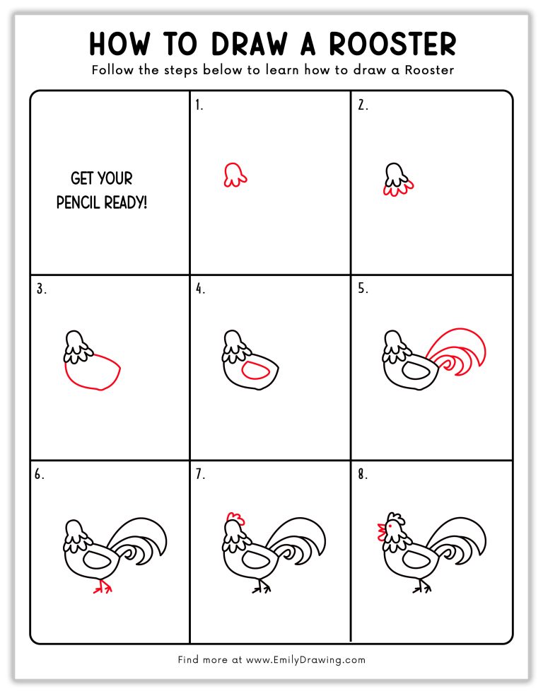 How to Draw a Rooster - Emily Drawing