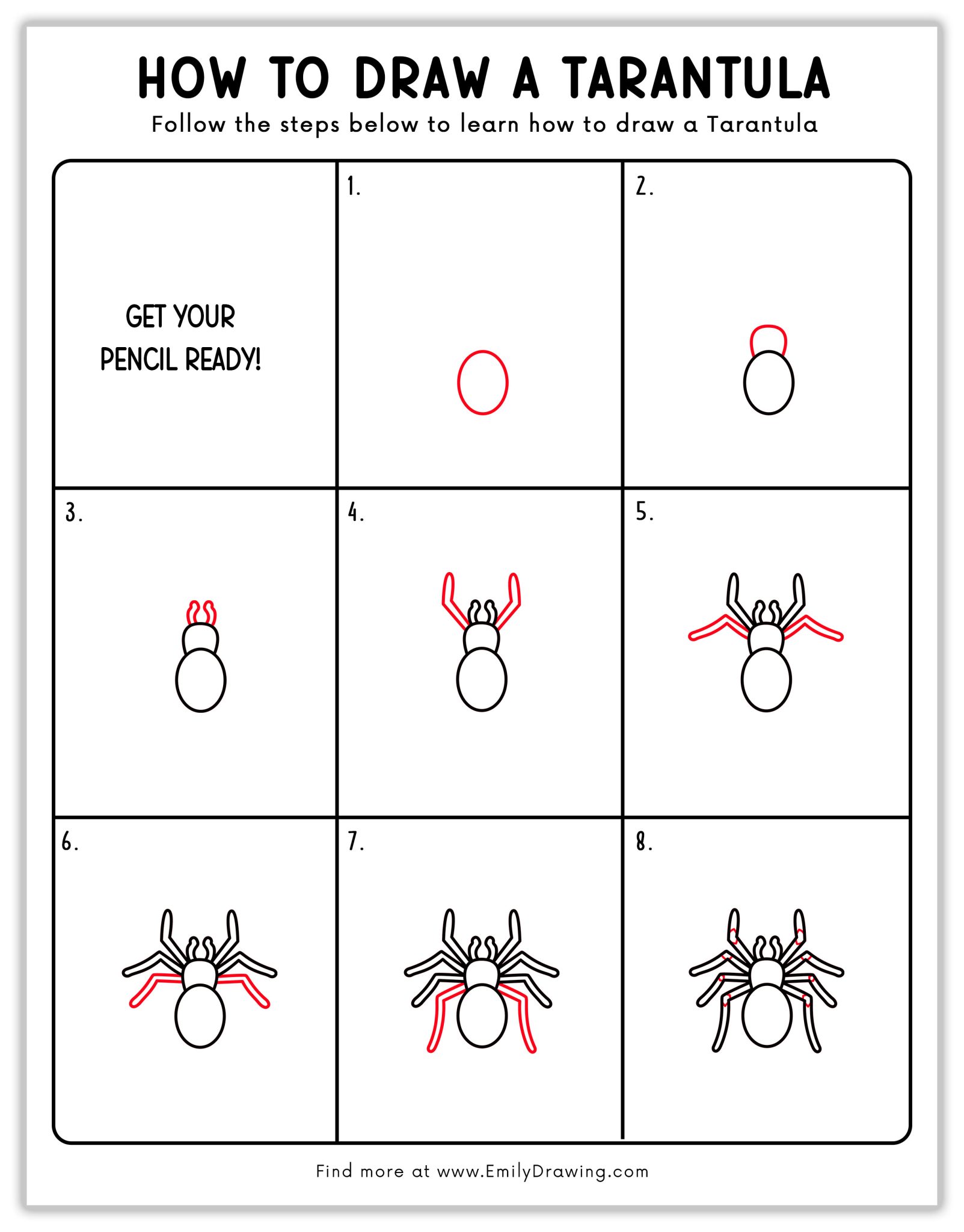 How to Draw a Tarantula - Emily Drawing