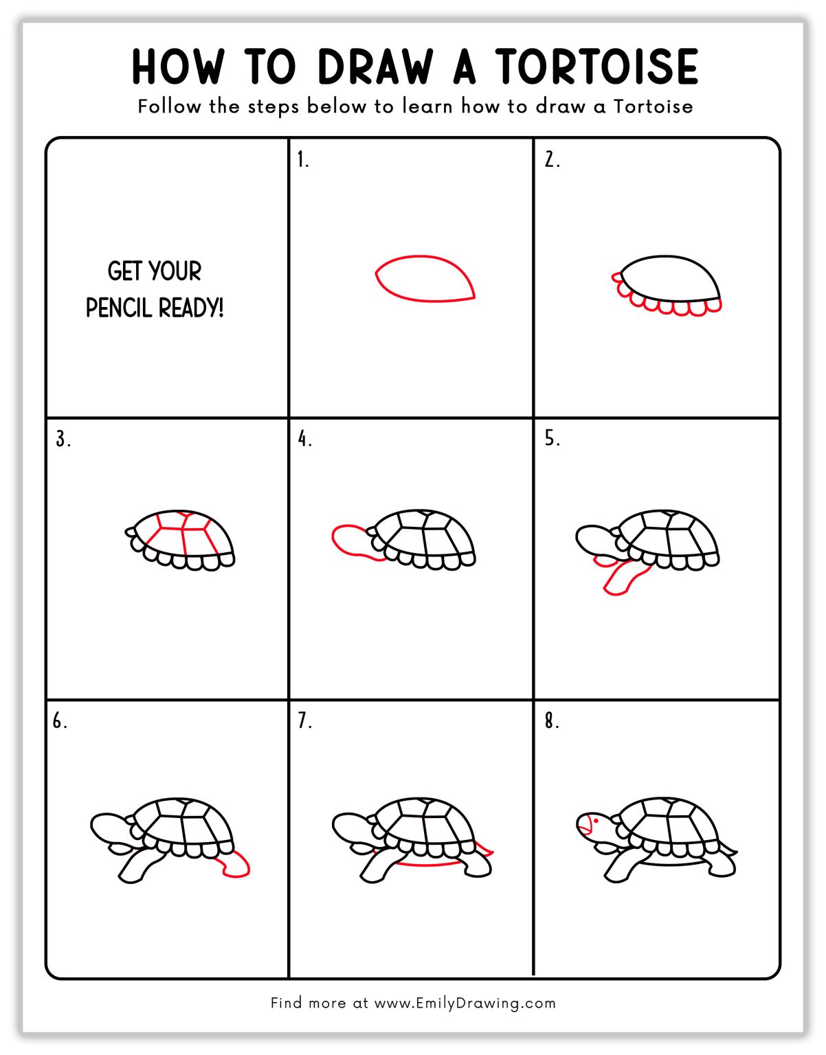 How to Draw a Tortoise - Emily Drawing