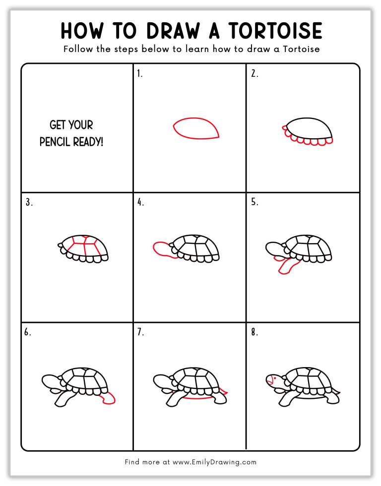 How to Draw a Tortoise - Emily Drawing